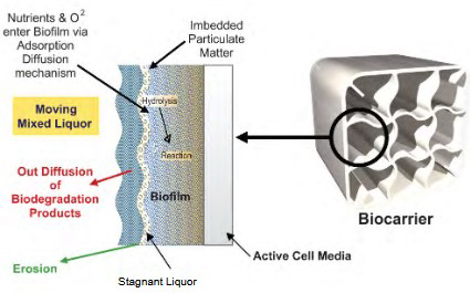 Moving Bed Biofilm Reactor (MBBR) - شرکت فنی و مهندسی لیان تدبیر